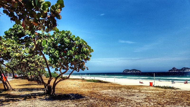 Things to do in Rio- Exotic Adventure | Rio de Janeiro Blog