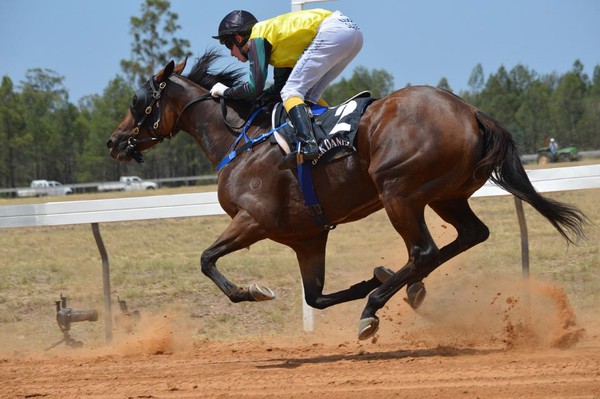 Hipódromo da Gávea: The Epicenter Of Rio’s Racing - Rio de Janeiro Blog